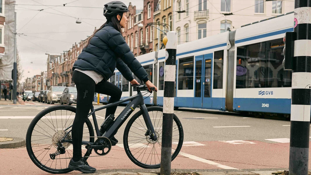Why the Netherlands Revolutionized the Electric Bike Industry ...